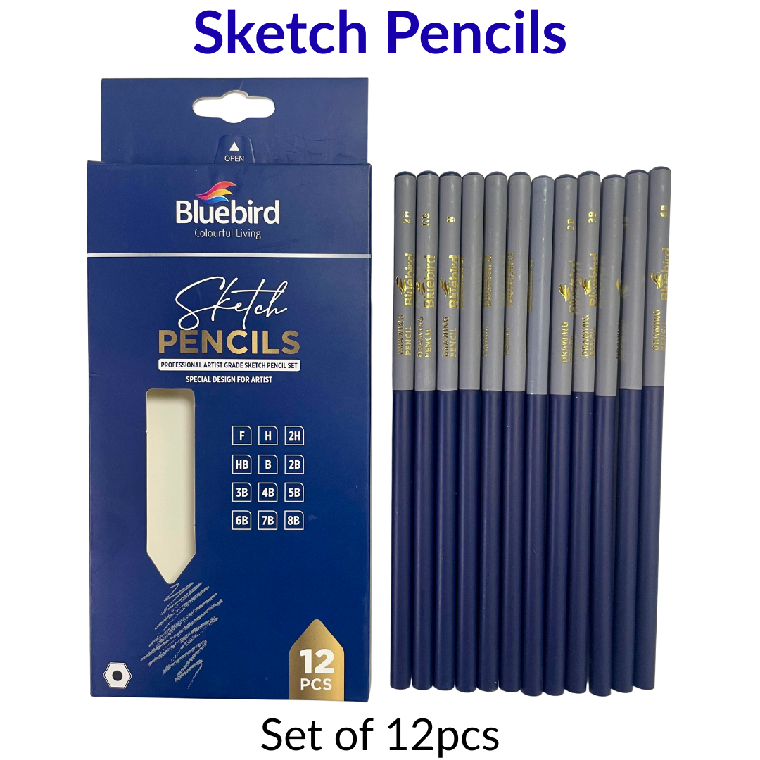 Bluebird Sketch Pencils Set - 12-Pieces professional artist grade penc ...